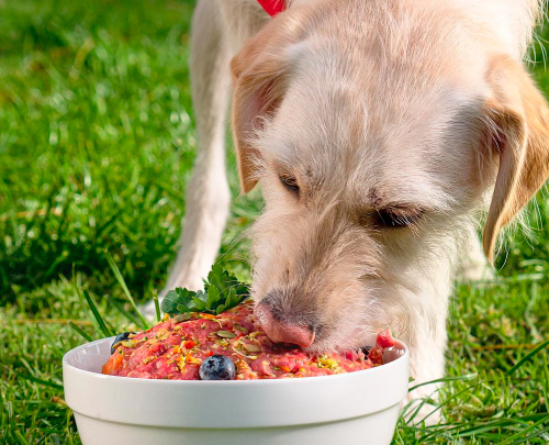 Comida BARF de Vacuno – SuperBARF.cl